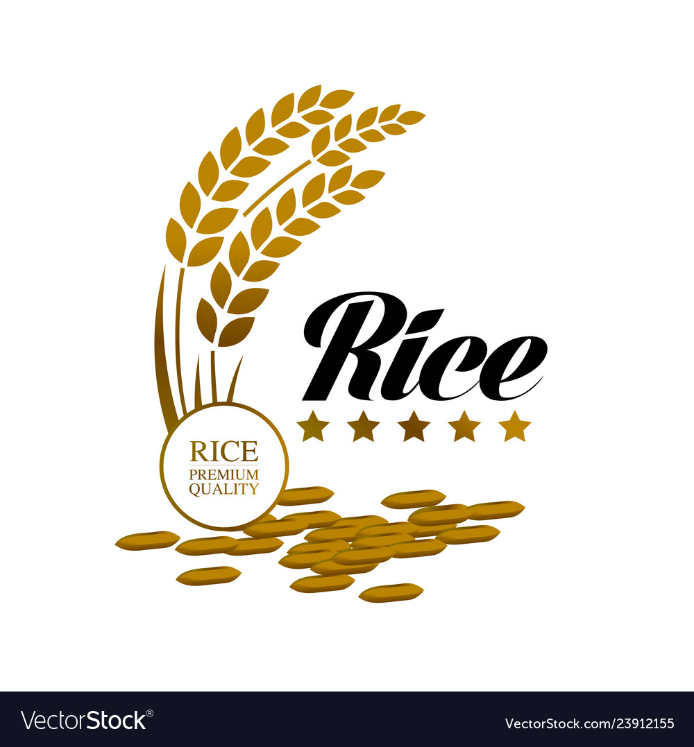 Premium rice great quality design concept Vector Image
