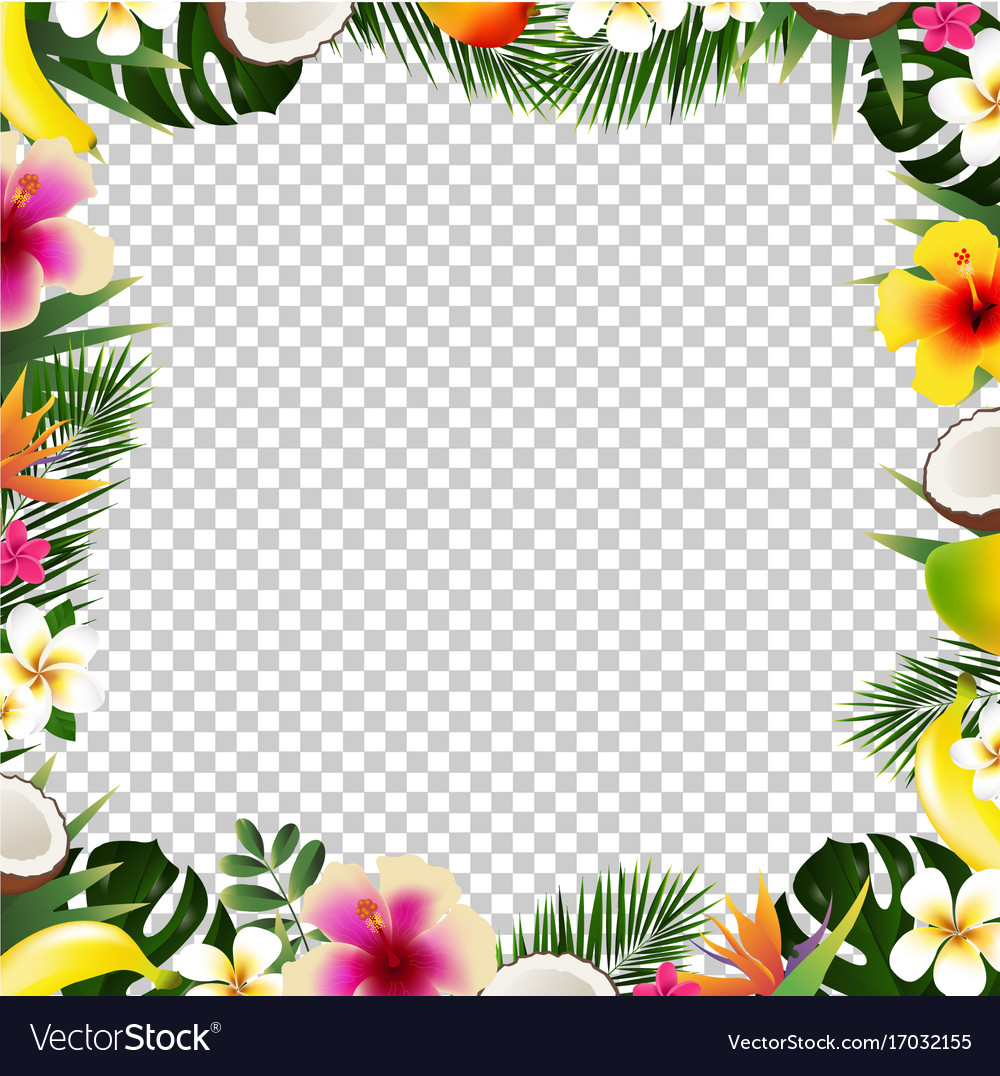 Tropical frame isolated Royalty Free Vector Image