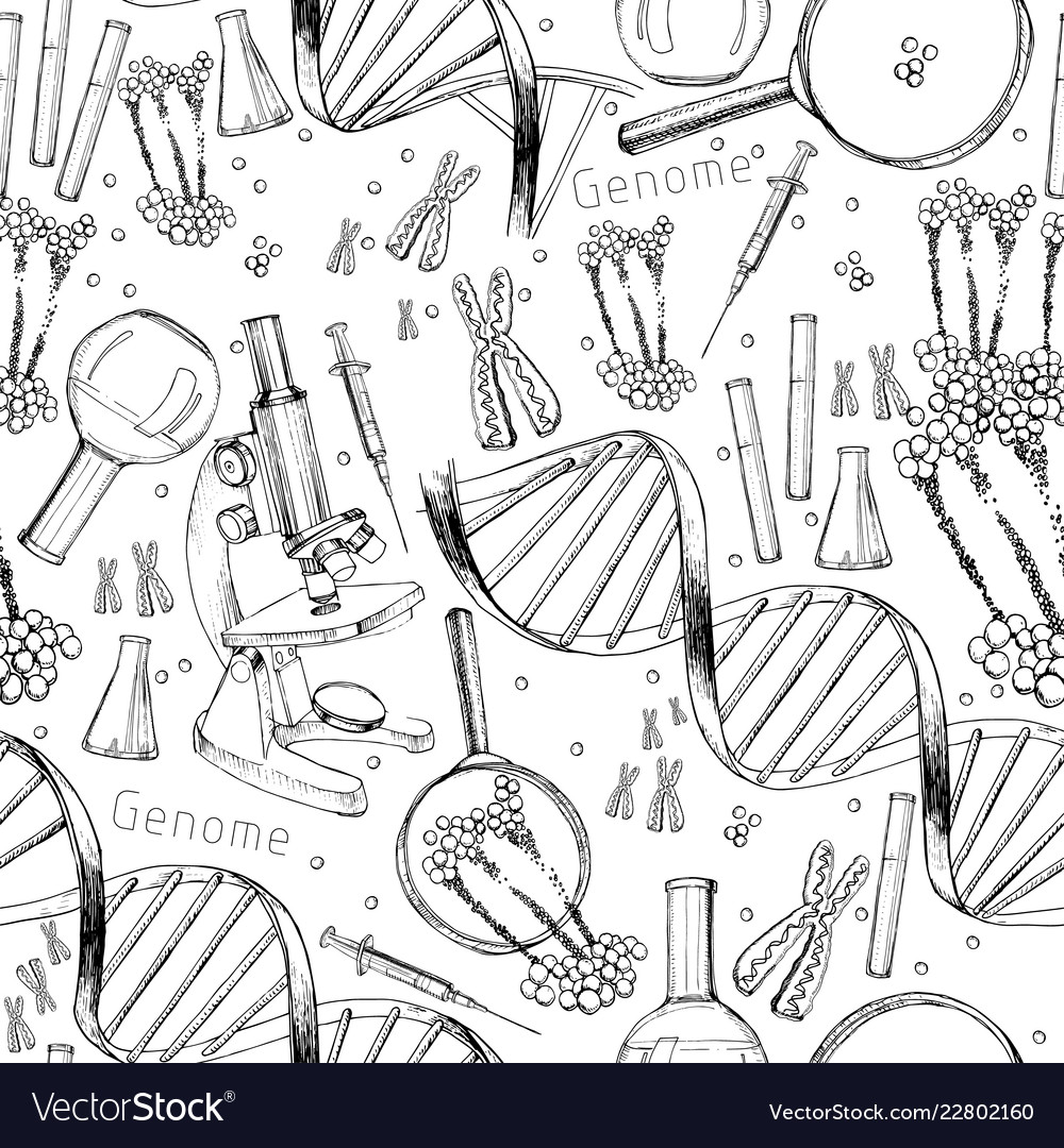 Hand drawn seamless pattern structure dna Vector Image