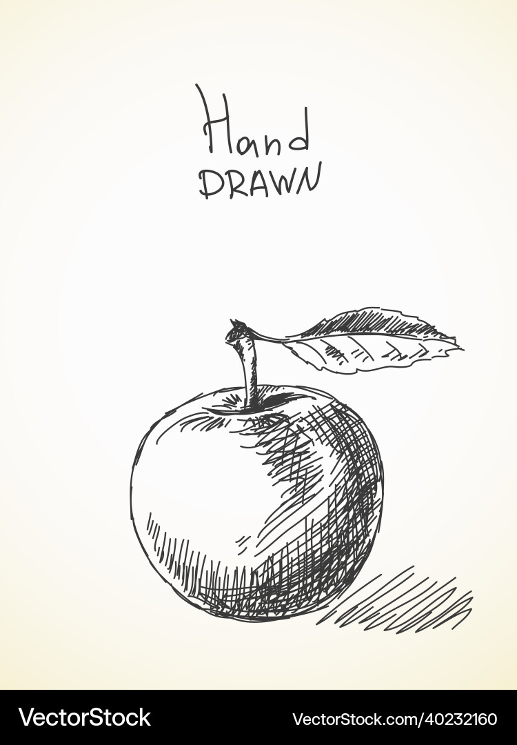 Hand drawn sketch of apple Royalty Free Vector Image