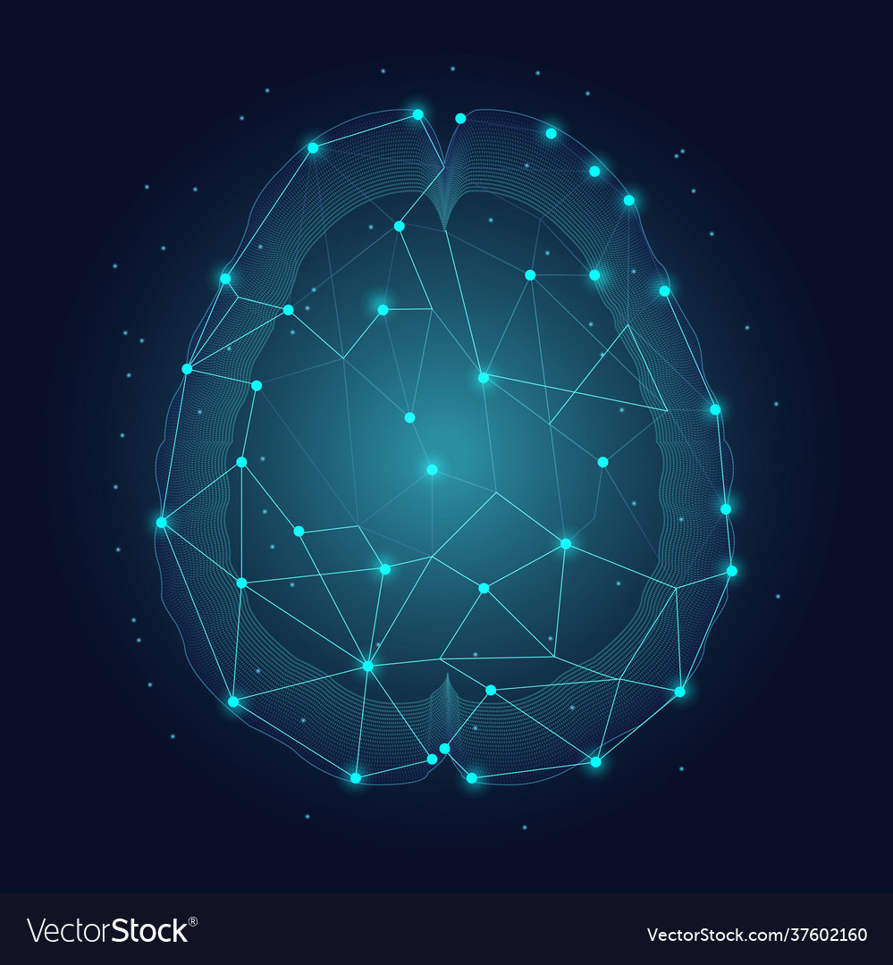 Human nervous system Royalty Free Vector Image