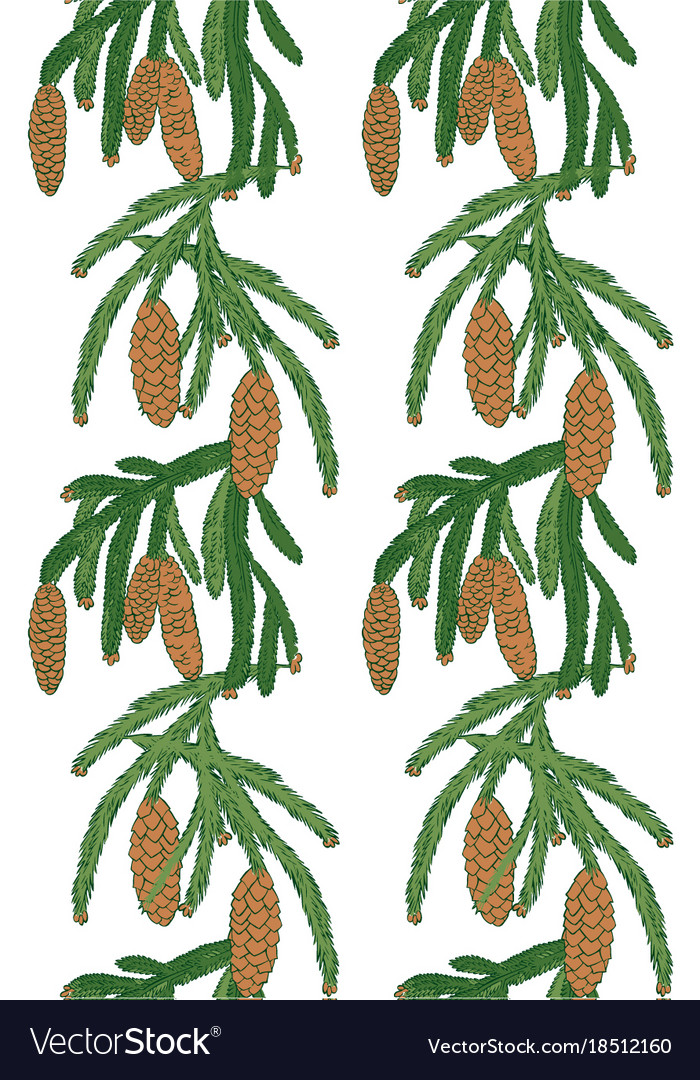 Pattern white pine tree with cones Royalty Free Vector Image