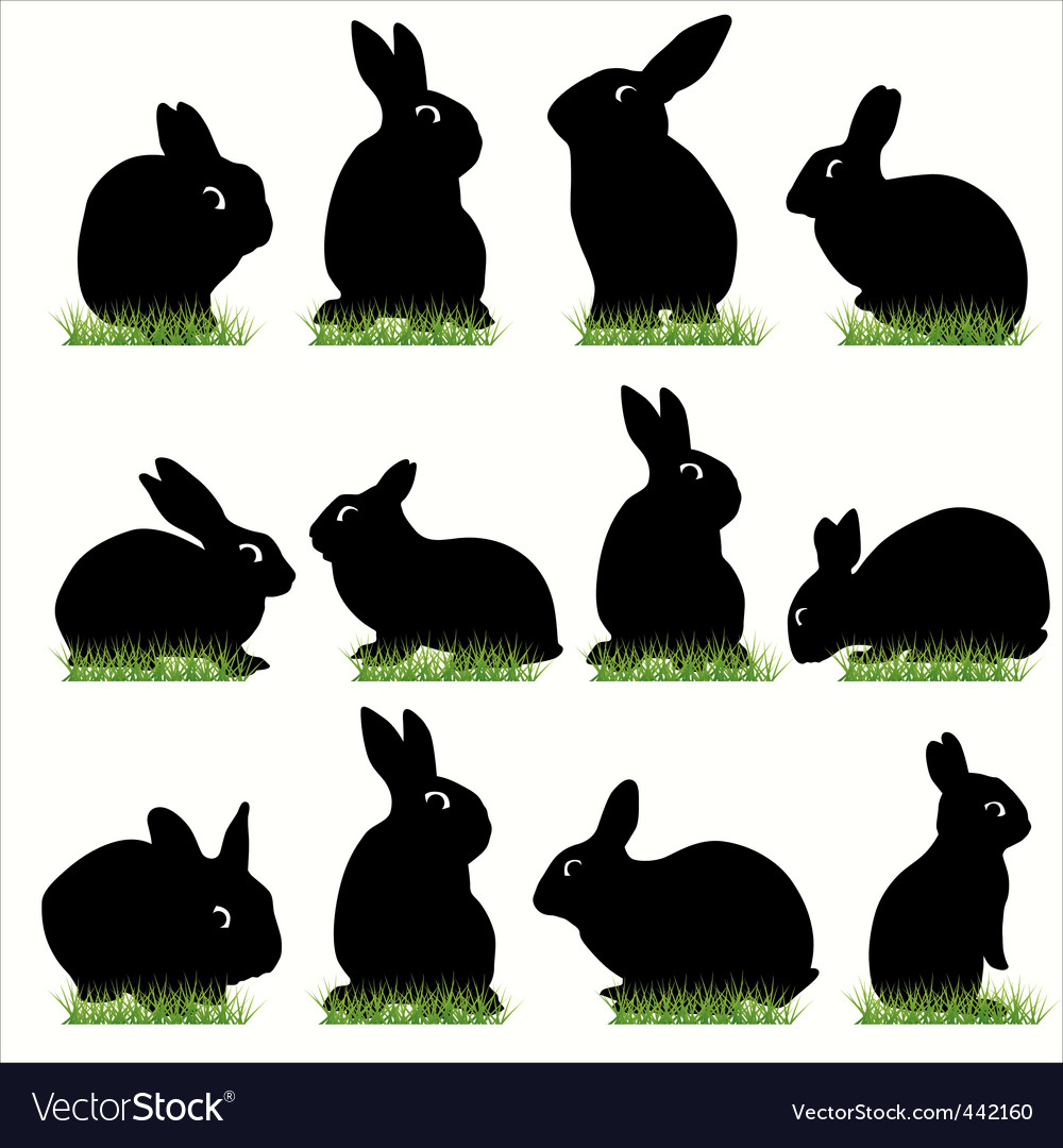 Rabbit02 Royalty Free Vector Image - VectorStock