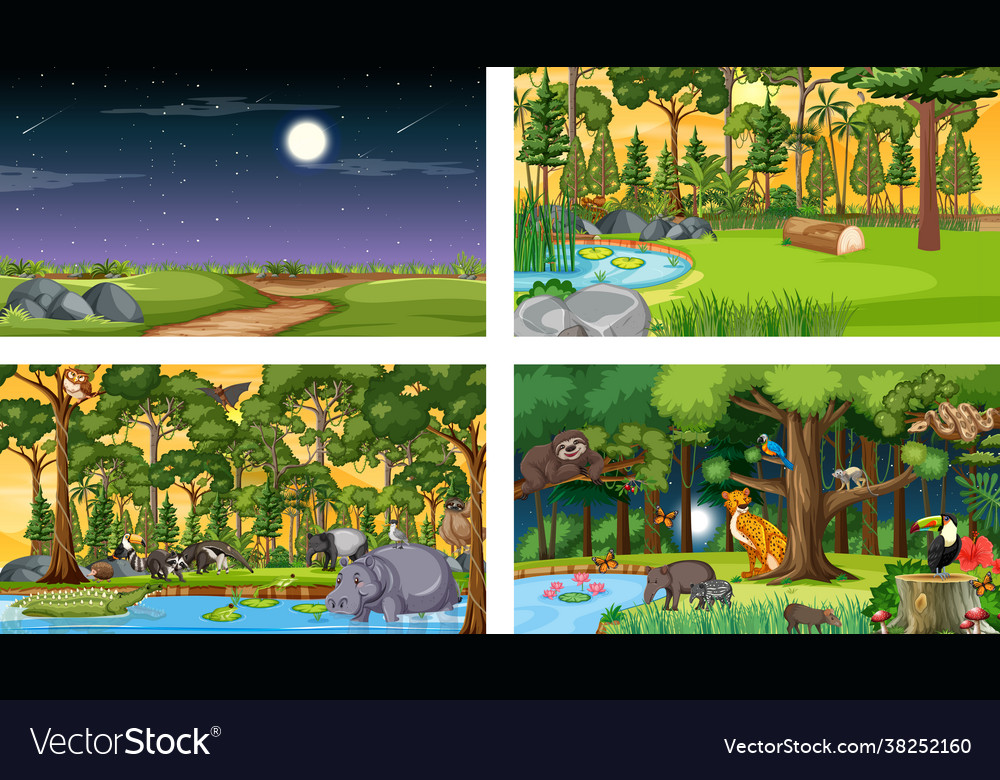 Set different forest horizontal scene Royalty Free Vector