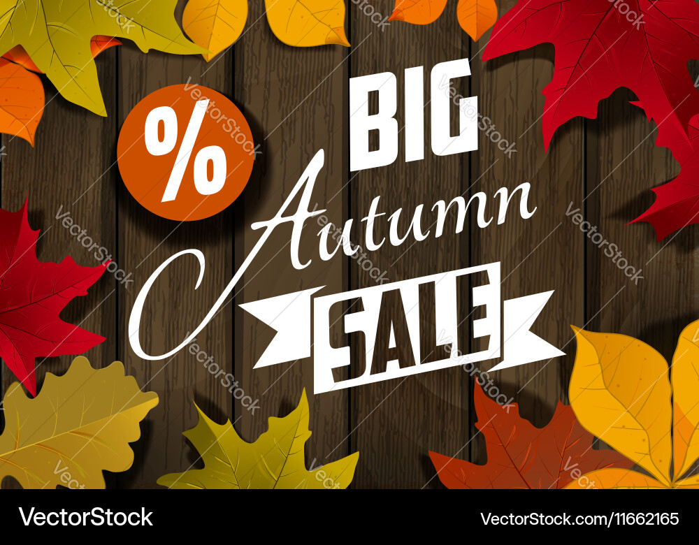 Big autumn sale leaves Royalty Free Vector Image