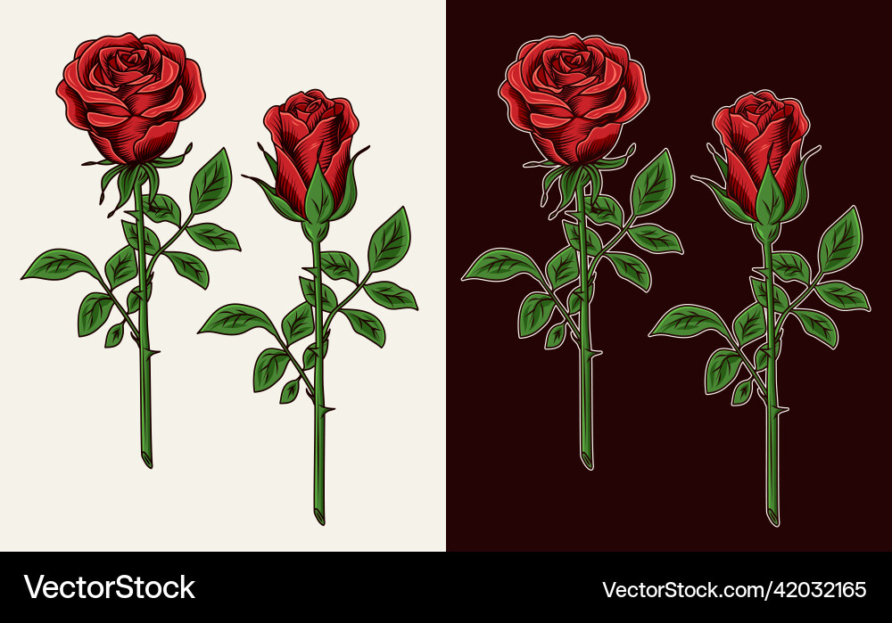 Clip art with lush blooming red roses stems Vector Image