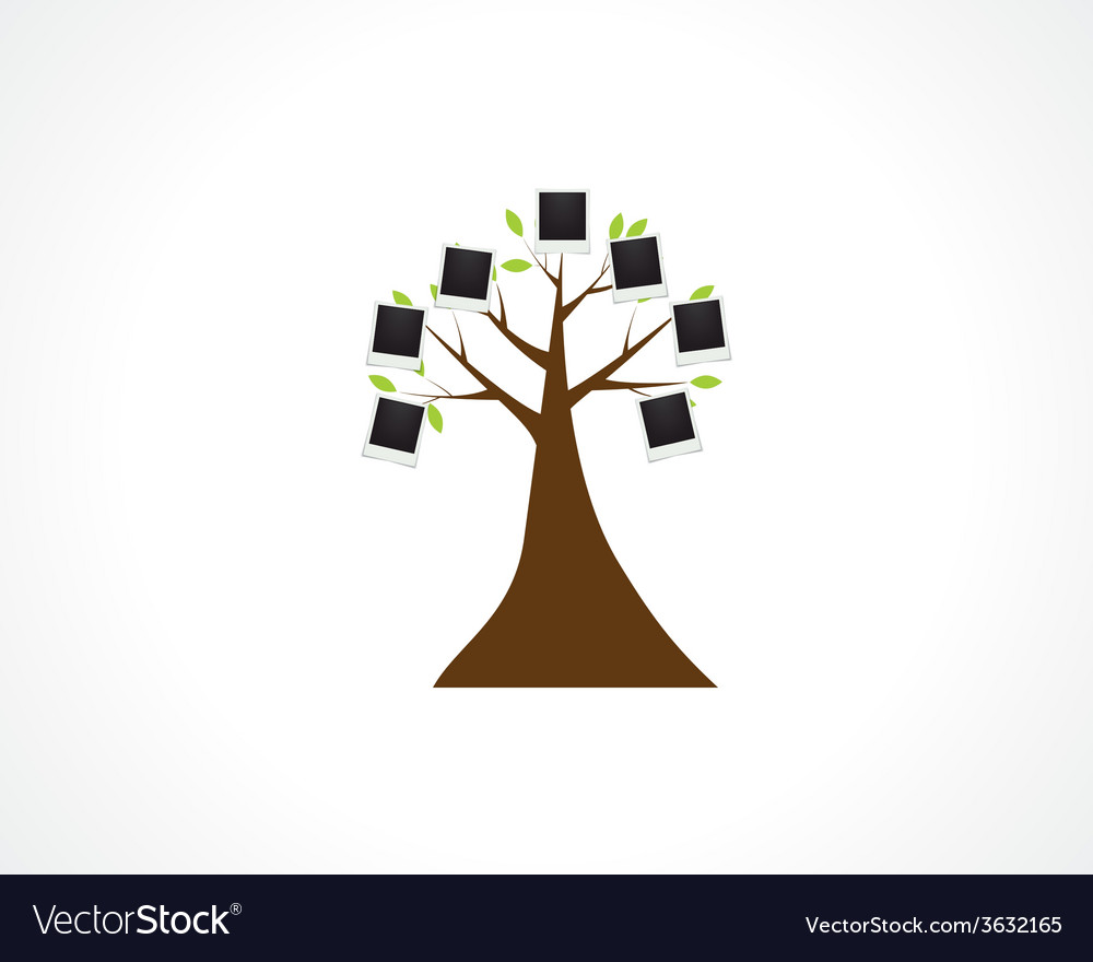 Family tree Royalty Free Vector Image - VectorStock