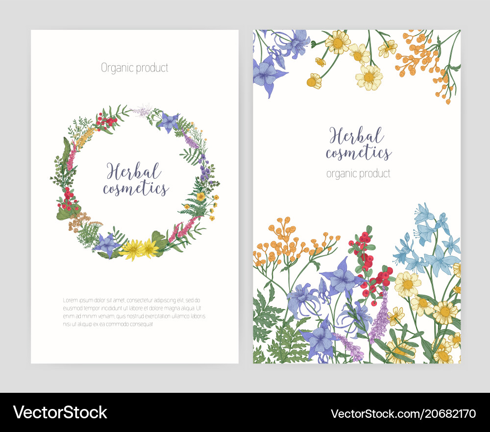 Collection of flyer or poster templates with frame