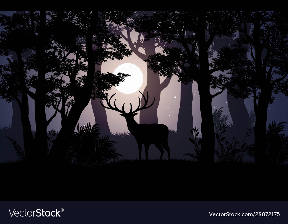 Deer in moonlight Royalty Free Vector Image - VectorStock