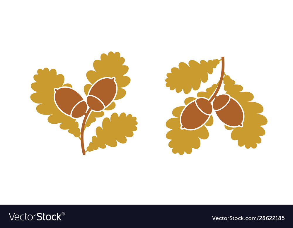 Oak leaf Royalty Free Vector Image - VectorStock