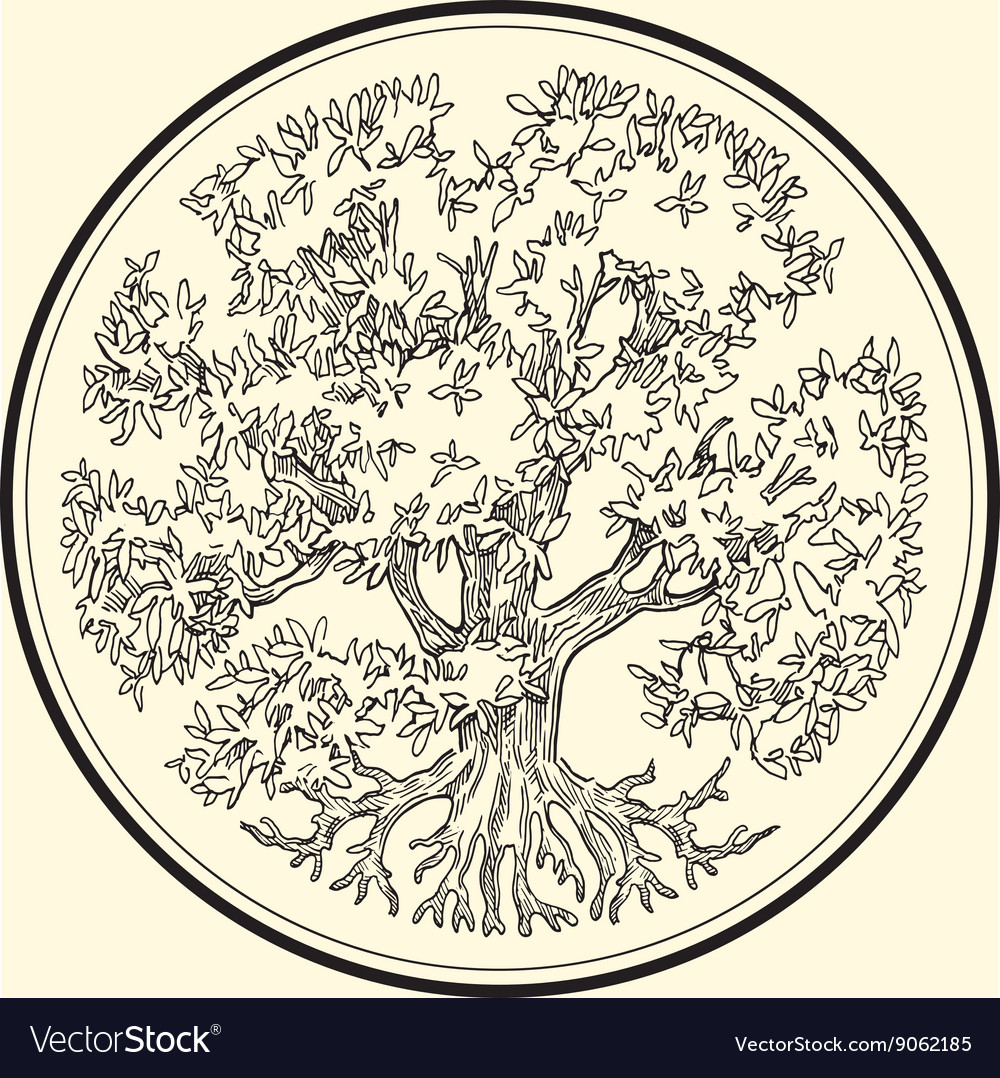 Tree oak beech forest Royalty Free Vector Image