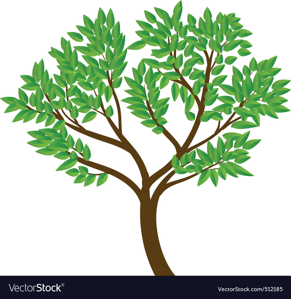 Tree Royalty Free Vector Image - VectorStock