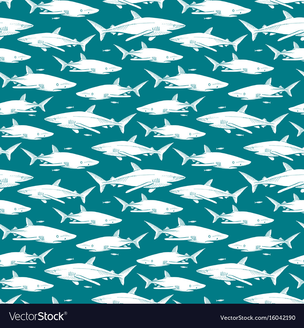 Sharks hand drawn seamless pattern Royalty Free Vector Image