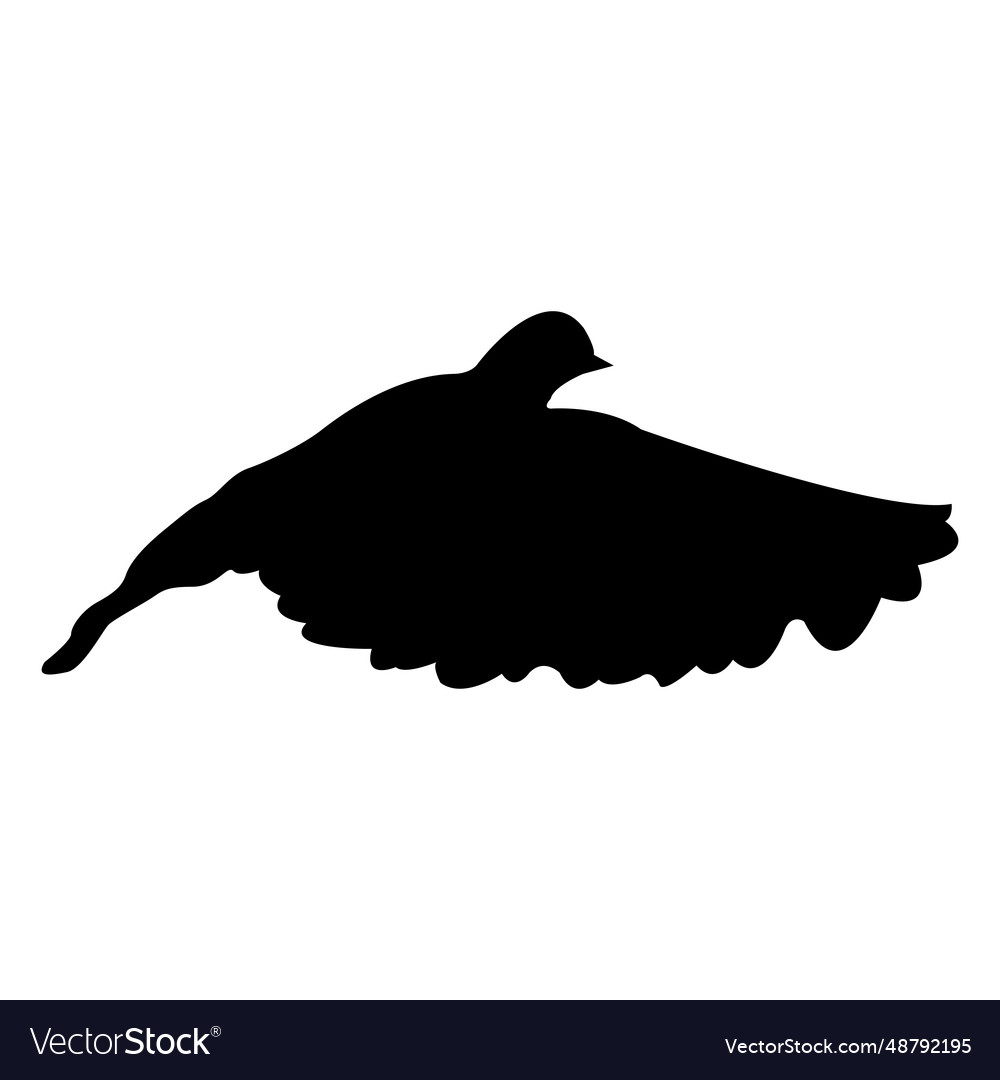 Dove flying sequence 8 Royalty Free Vector Image