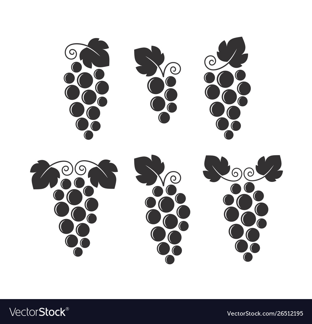 Wine grapes Royalty Free Vector Image - VectorStock