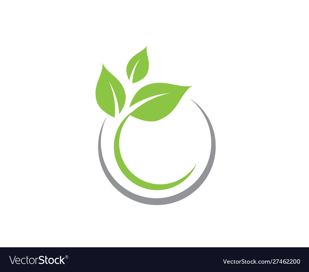 Tree leaf icon template Royalty Free Vector Image