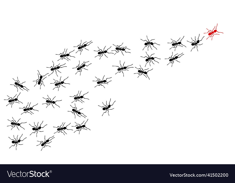 Worker ants trail line flat style design Vector Image