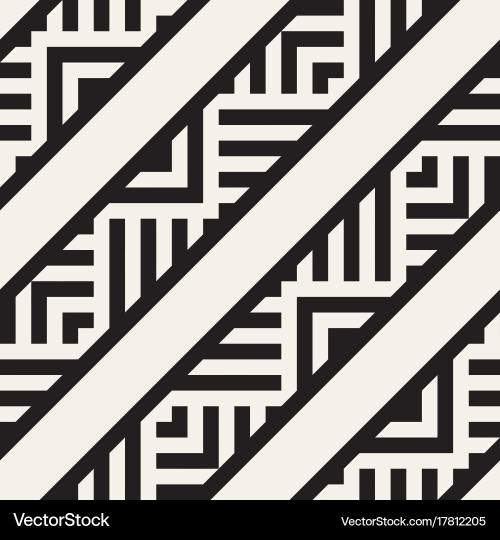 Stylish lines lattice ethnic monochrome texture Vector Image
