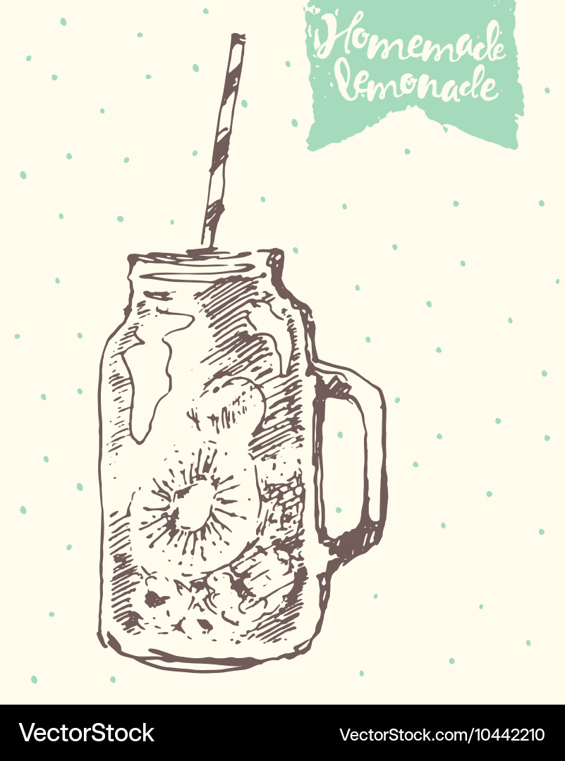 Drawn homemade lemonade sketch Royalty Free Vector Image