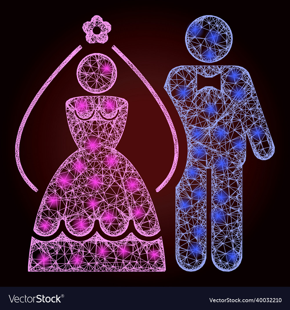 Glowing net mesh newlyweds with light spots Vector Image