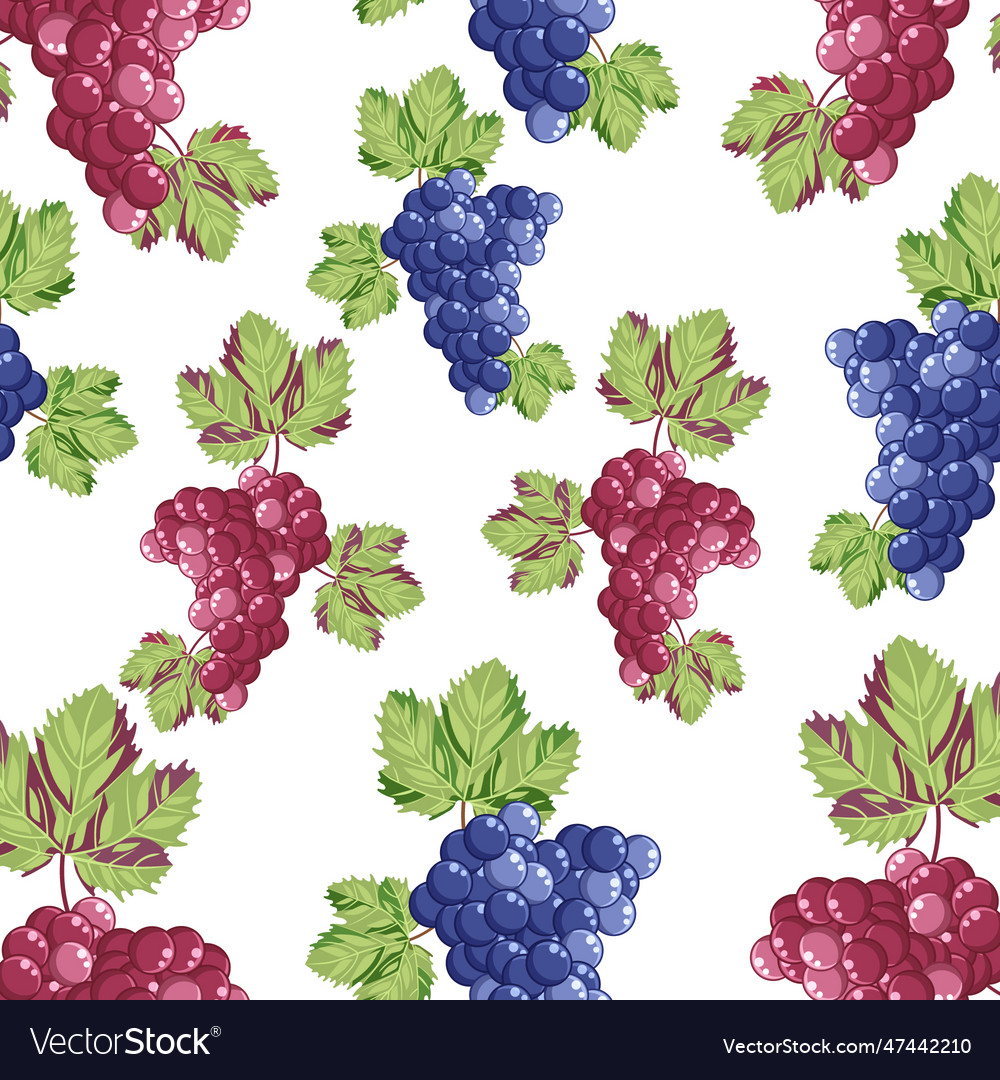 Grape pattern 3 Royalty Free Vector Image - VectorStock