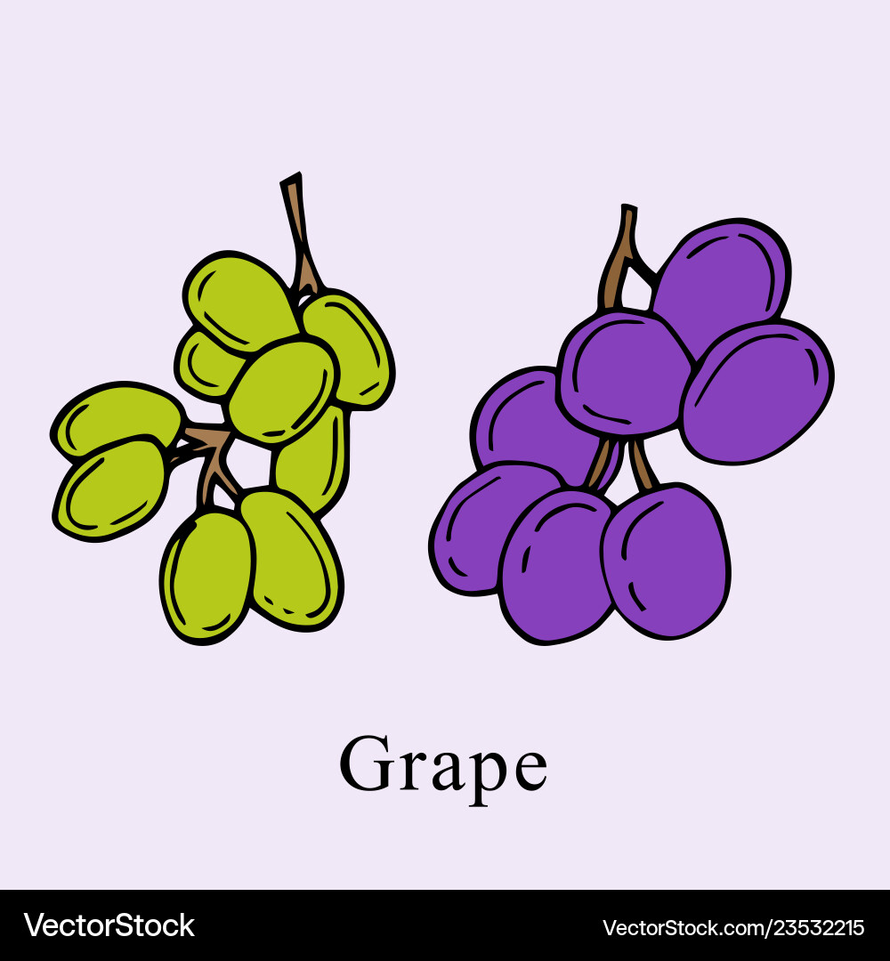 Grapes in cartoon style Royalty Free Vector Image