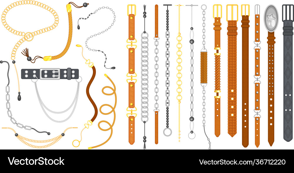 Belts leather and metallic gold and silver chains Vector Image
