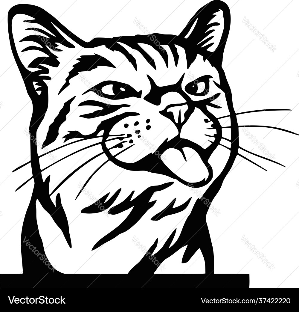 Cat peeking kitten - cheerful kitty isolated Vector Image