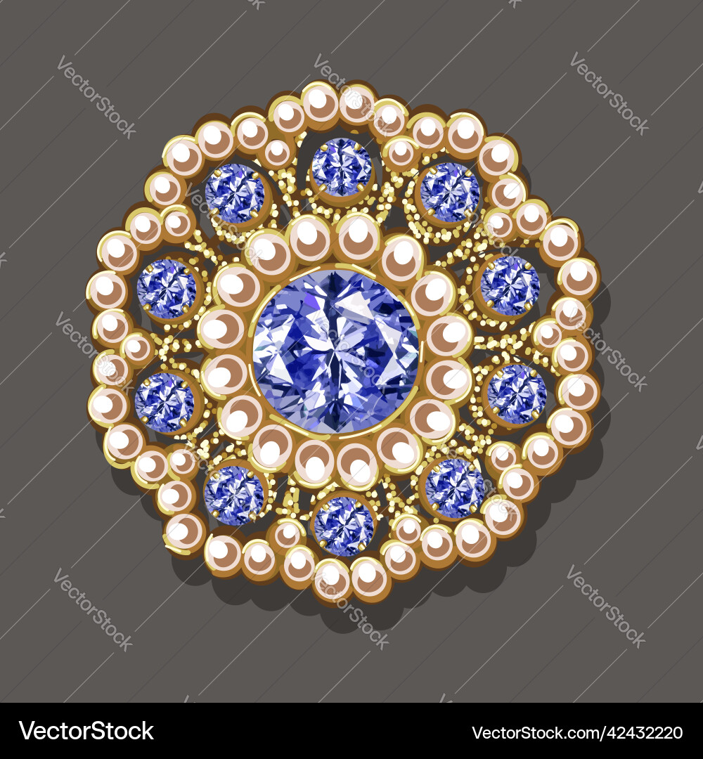 Gold brooch with precious stones Royalty Free Vector Image