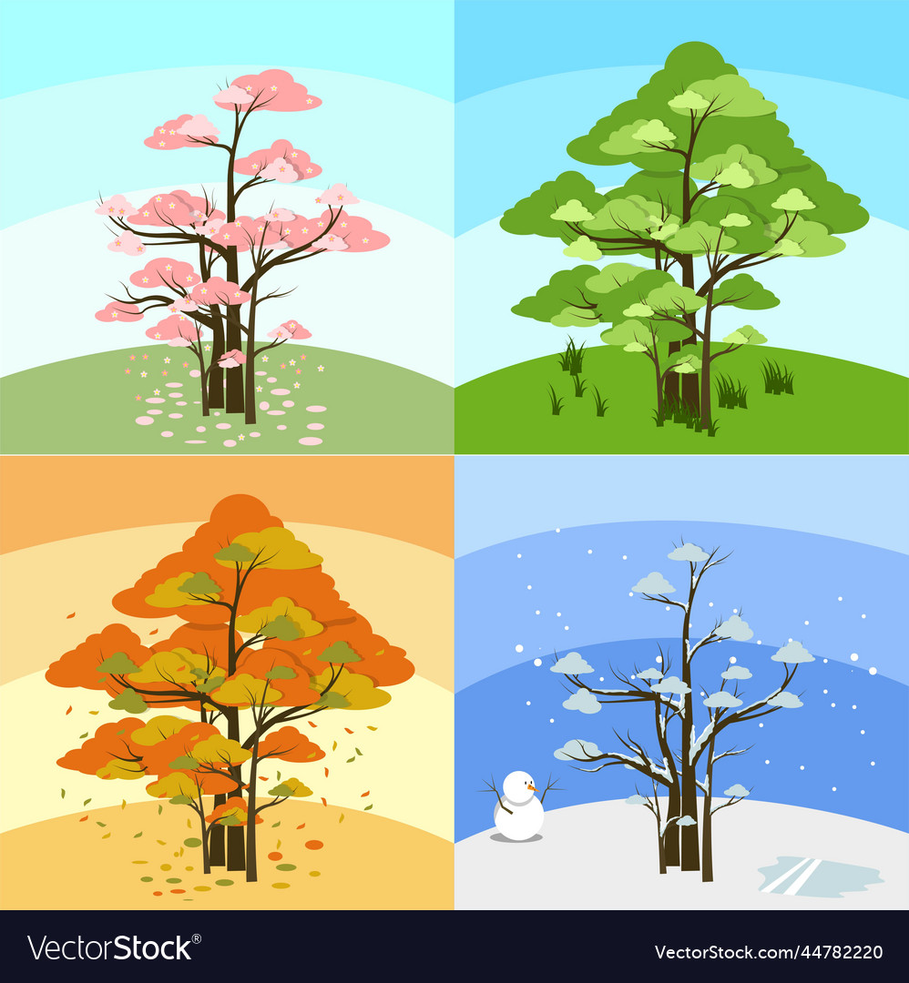 Group of trees with four season trees in one Vector Image
