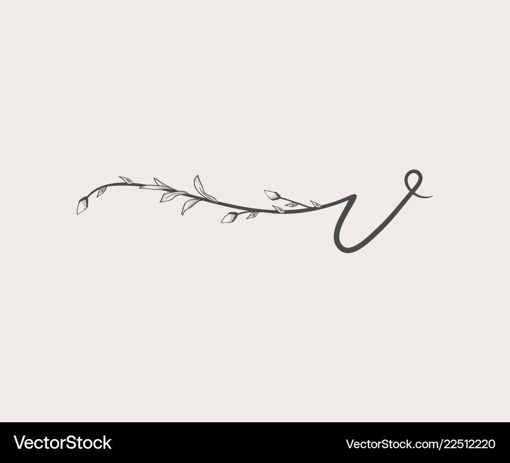 Hand drawn floral v monogram and logo Royalty Free Vector