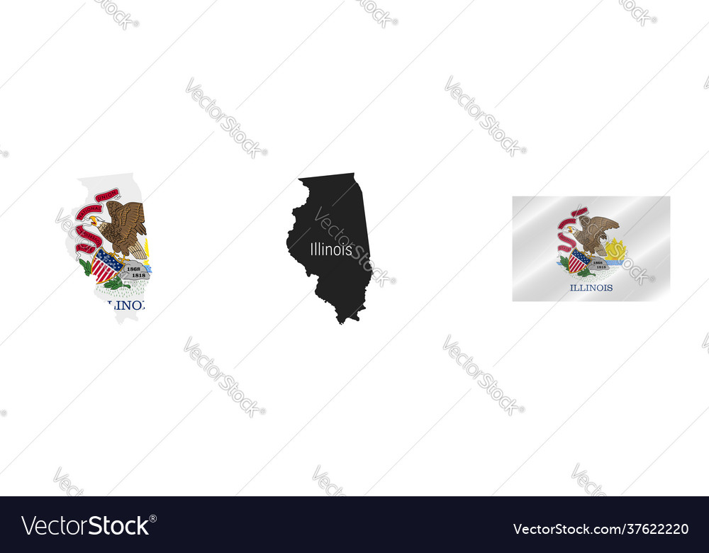 Illinois us state detailed flag map detailed Vector Image