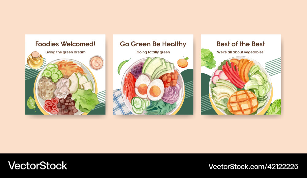 Banner template with healthy salad Royalty Free Vector Image