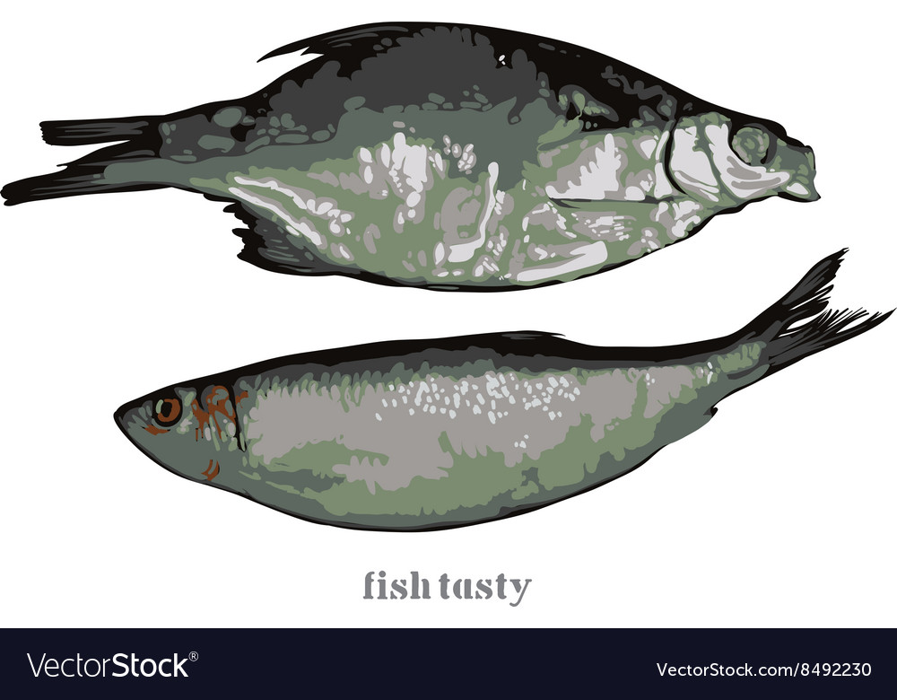 Two cooked fish Royalty Free Vector Image - VectorStock