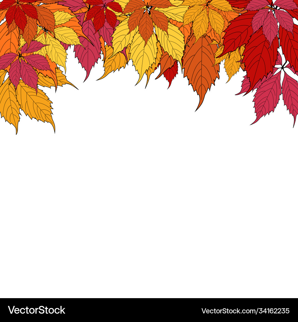Autumn background template with leaves special Vector Image