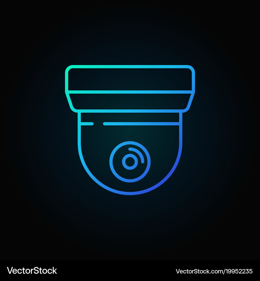 Cctv blue sign or icon in thin line style Vector Image