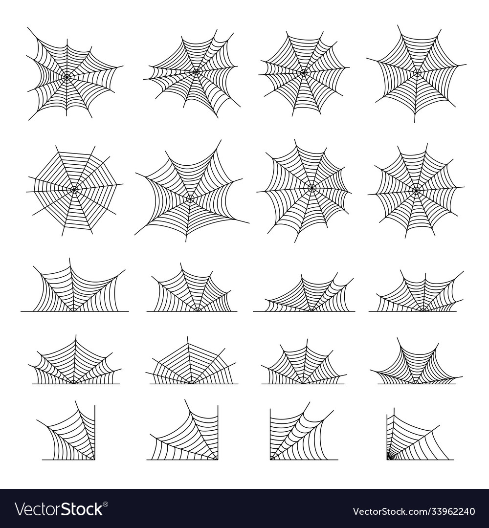 Spider web concept Royalty Free Vector Image - VectorStock