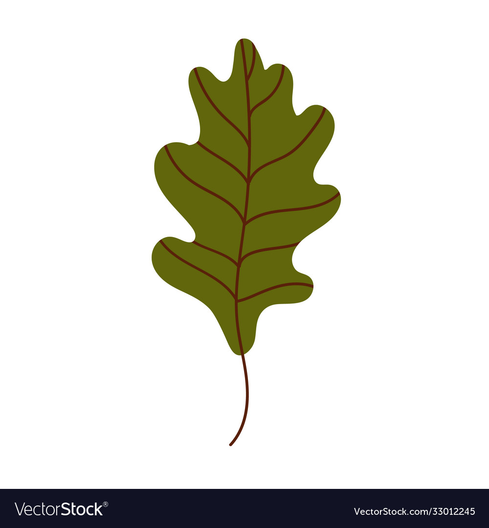 Oak leaf fallen leaf Royalty Free Vector Image