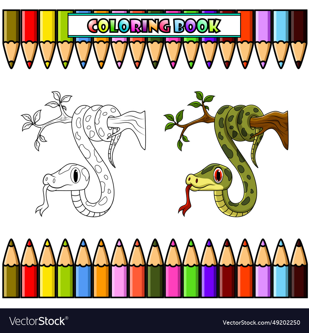 Green snake on tree branch for coloring book Vector Image