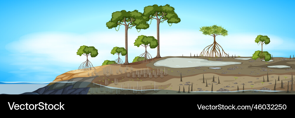 Mangrove forest outdoor background Royalty Free Vector Image