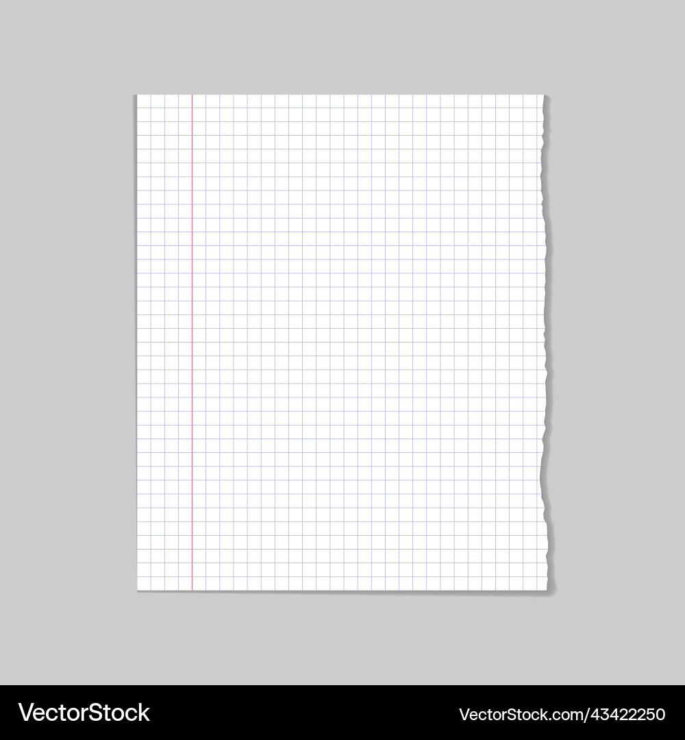 Ripped blank white line school paper Royalty Free Vector