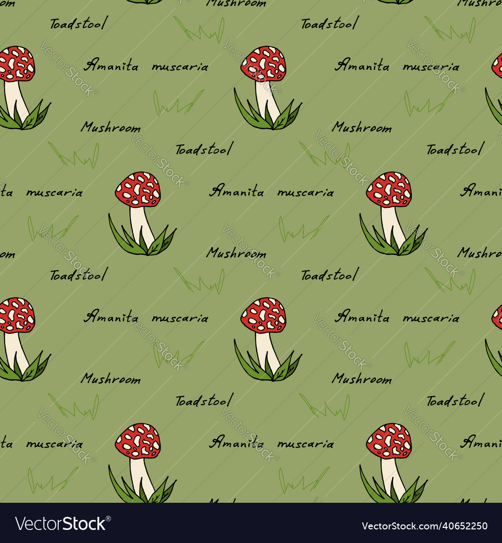 Seamless Pattern With Handdrawn Amanita Muscaria Vector Image