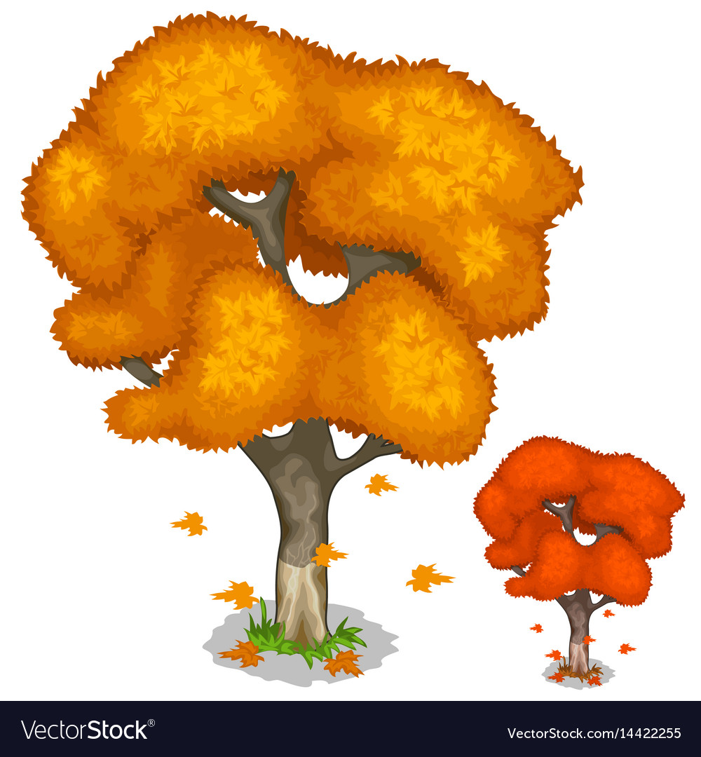Autumn maple tree with falling leaves isolated Vector Image