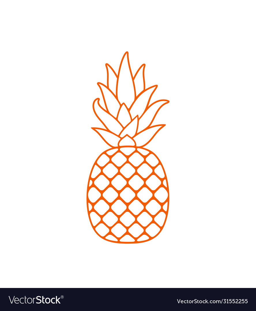 Pineapple Royalty Free Vector Image - VectorStock
