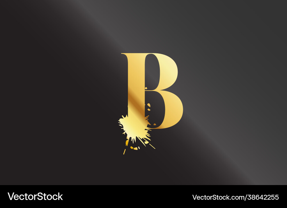 Splash b alphabet icon letter for corporate Vector Image