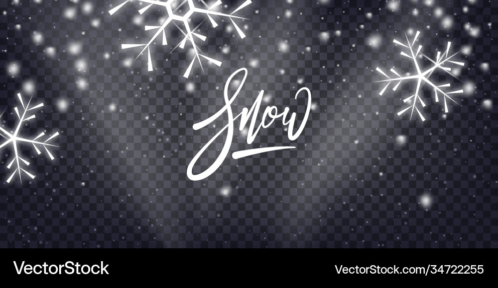 Winter falling snow overlay christmas snow Vector Image