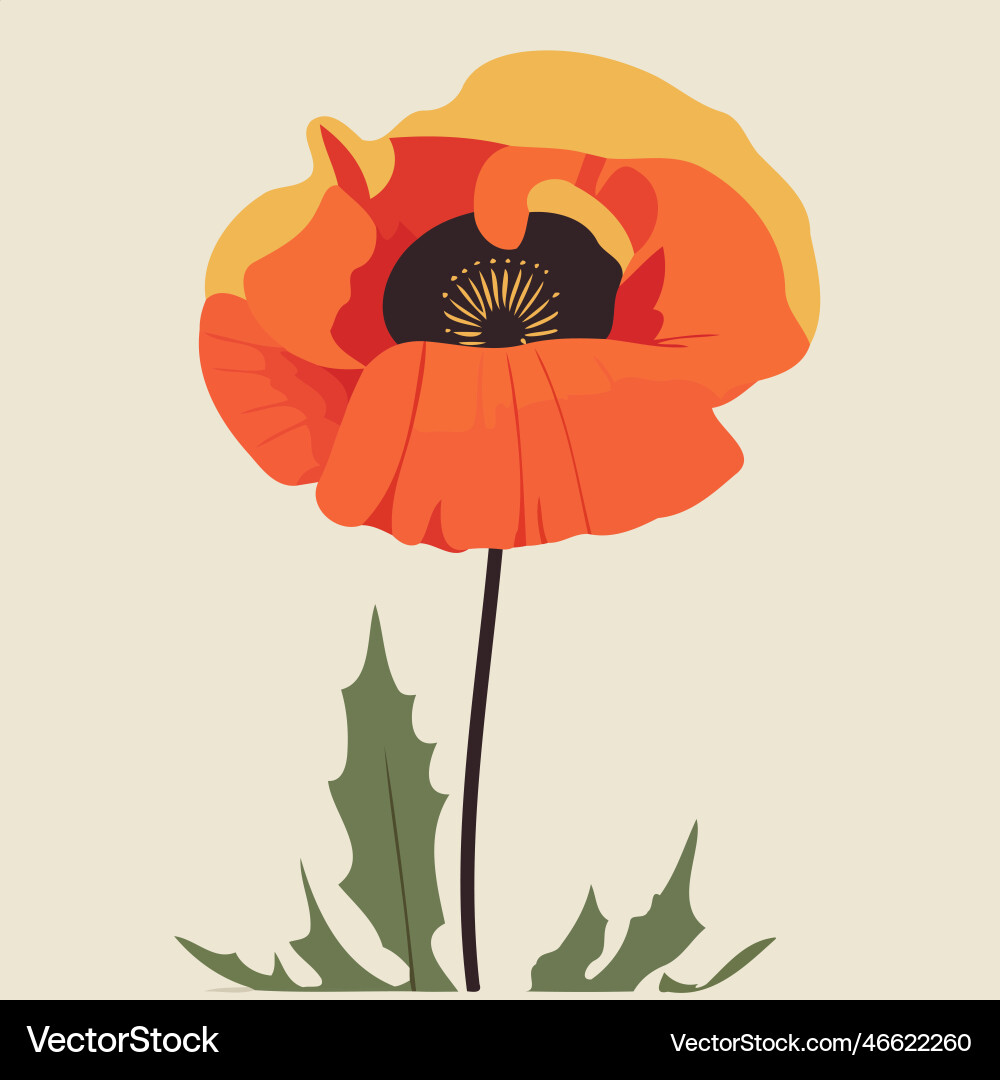 One red poppy flower Royalty Free Vector Image