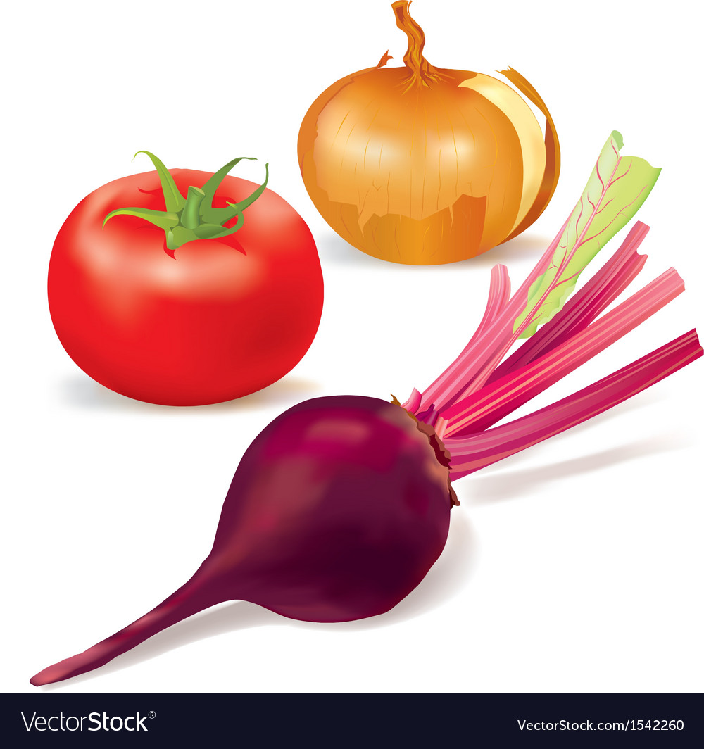 Vegetables Royalty Free Vector Image - VectorStock