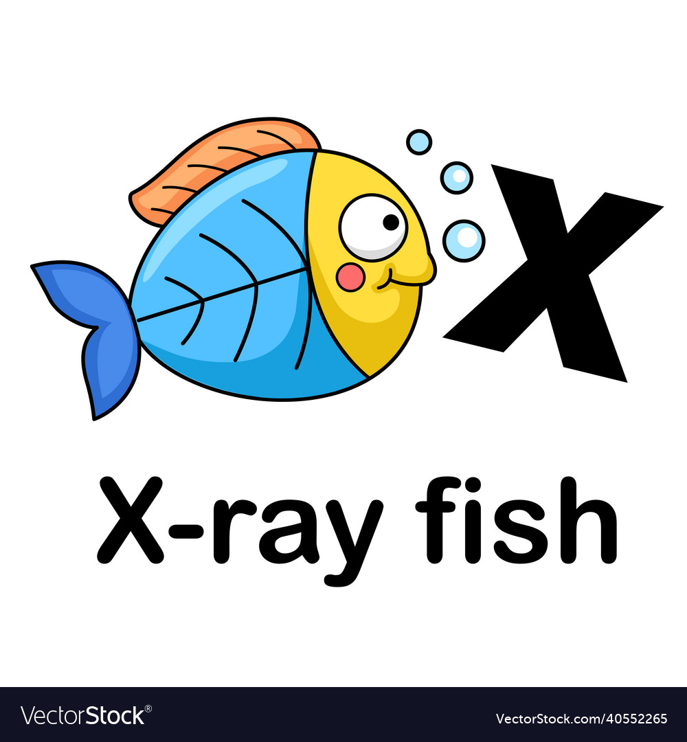 Alphabet letter x-x ray fish Royalty Free Vector Image