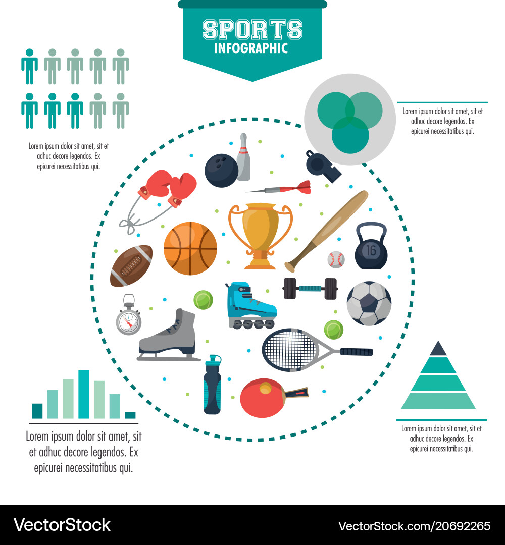 Sports infographic design Royalty Free Vector Image